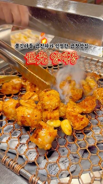 세월의 흔적과 세월의 추억이 맞닿은 곳이라는 브랜드 슬로건을 가진 세광양대창 맛집 Youtube