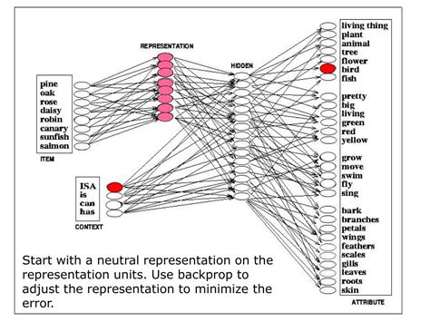 Ppt Emergence In Cognitive Science Semantic Cognition Powerpoint