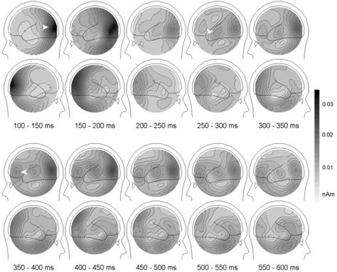 Topographies Topographical Distribution Of Source Activity Mne