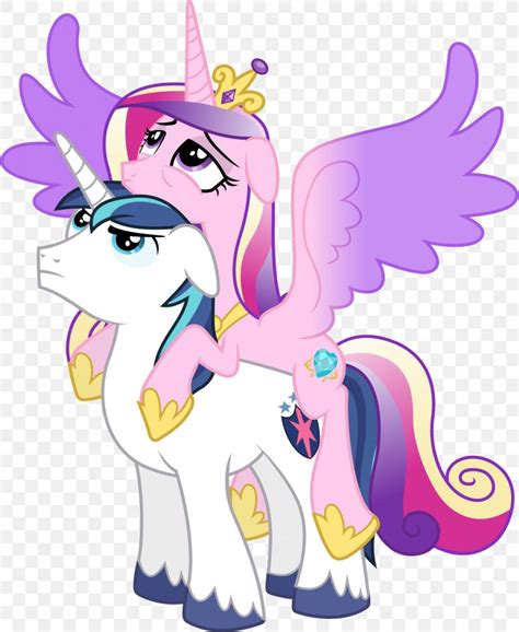 Princess Cadance Twilight Sparkle Shining Armor Youtube A Canterlot Wedding Png 1600x1954px