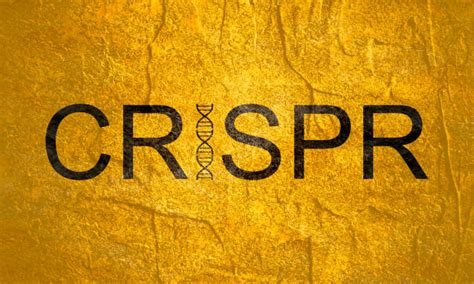 1 400 Crispr Ilustrasi Grafik Vektor And Clip Art Bebas Royalti Terbaik Istock