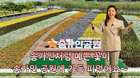 송가인처럼 예쁜 꽃이 송가인 공원에 가득 피었어요~ Youtube