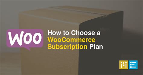 How To Choose A WooCommerce Subscription Plan Mode Effect