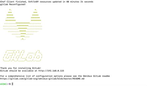 Complete Guide To Setting Up Gitlab Locally On Mac