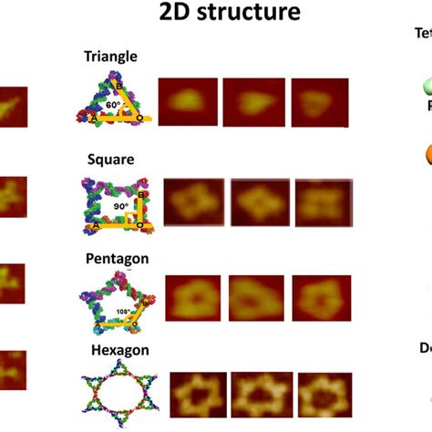 Different Sizes And Shaped Thermodynamically Stable Nanoparticles