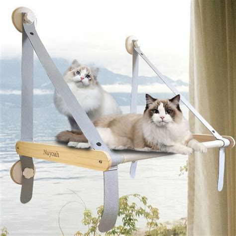 고양이 창문 해먹 추천 10가지 고정력이 좋고 튼튼해야 비마이펫 라이프