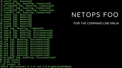 Netops Foo For The Command Line Ninja