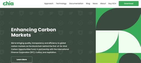 proof of capacity the greenest consensus algorithm