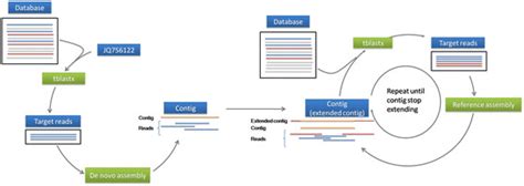 Schematic Presentation Of The Sequence Assembly Procedures Download