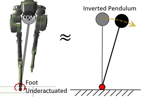 The Foot Underactuation Of Bipedal Walking With The Illustration By An Download Scientific