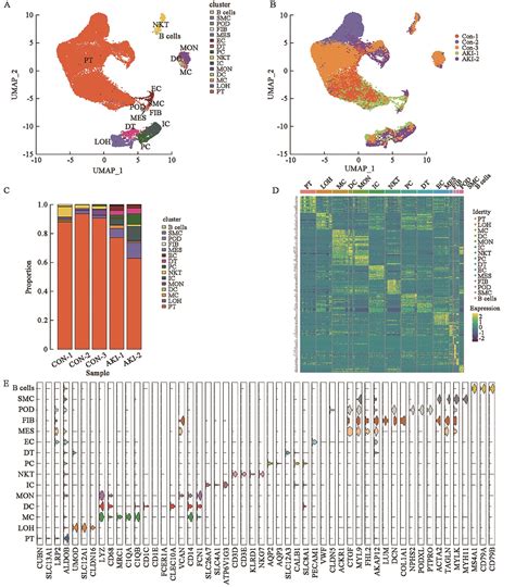 Single Cell RNA Sequencing Reveals The Transcriptomic Landsc Chinese Medical Journal