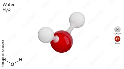 Water Molecule H2o Animated 3d Model Water Appears As A Clear Non