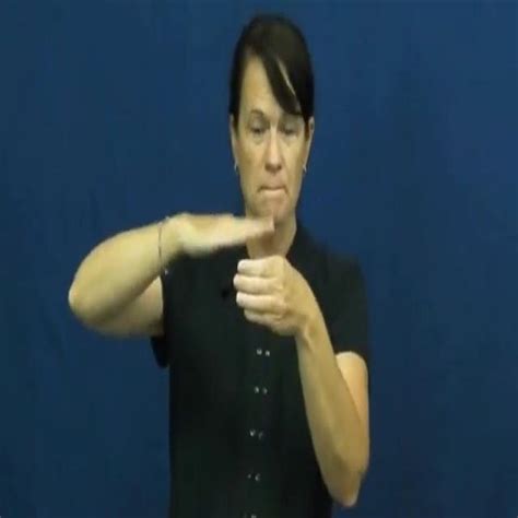 ASL OD Object Detection Dataset By ASL