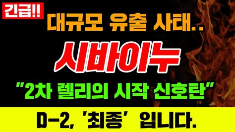 긴급 대규모 유출 사태 시바이누 2차 렐리의 시작 신호탄 D 2 최종 입니다 시바이누급등 시바이누호재 Youtube