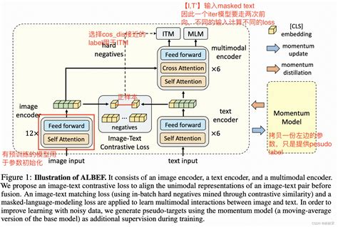 多模态论文串讲:albef And Vlmo And Blip And Coca And Beit V3alber多模态 Csdn博客 多模态论文串讲:albef And Vlmo And Blip And Coca And Beit V3alber多模态 Csdn博客