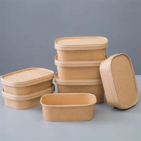 Rectangular Biodegradable Paper Container At ₹ 95piece Paper