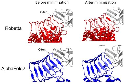 Protein Structure Prediction At Luca Harford Blog
