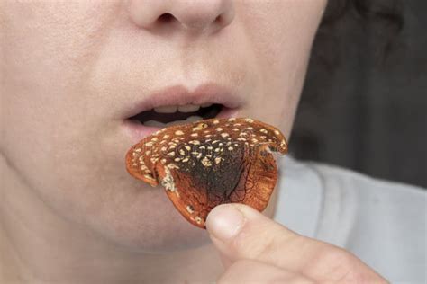 A Woman Treatment A Microdose Of Fly Agaric Eat A Hat Dried Red