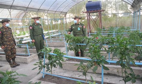 ကိုဗစ် ၁၉ ရောဂါ ဖြစ်ပေါ်နေသည့်ကာလအတွင်း ဒေသတွင်းစိုက်ပျိုးမွေးမြူရေး ကုန်ထုတ်လုပ်မှုလုပ်ငန်းများ