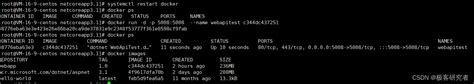 将 Core部署到docker中以容器的方式运行docker Cmd命令安装aspnetcore Csdn博客