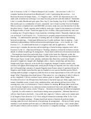 Lab Docx Lab Exercises Observe Interpret Lab Results Lab Exercises
