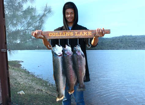 Collins Lake Wonderful Weather For Winter Trout Plants… But Pray For