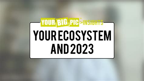 Your Ecosystem And 2023 Yourbigpic