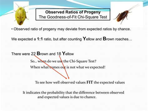 Genetics Lecture 2 Pw 2012 PPT