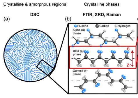 7 A Schematic Representing The Crystalline And Amorphous Regions Of Download Scientific