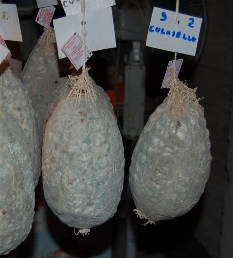 Green Mold On Salami Taste Of Artisan