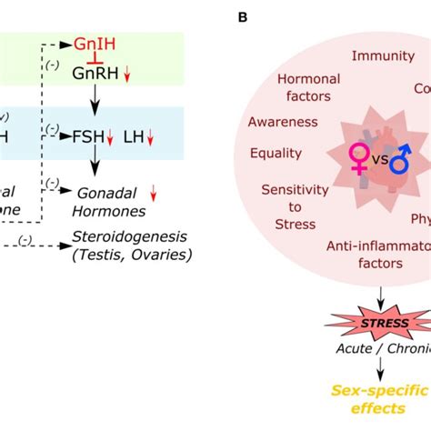 Inter Relationship Of Different Factors Responsible In Causation Of Download Scientific