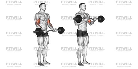 Effective Arm Workout Build Stronger Biceps And Triceps Workout