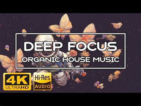Deep Focus Organic House Music VOL IV Ambient Study Work