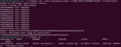 Devops Hướng Dẫn Docker Hóa Mysql Vinasupport