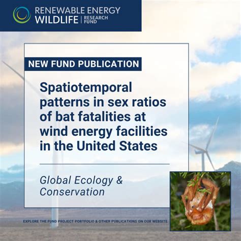 Spatiotemporal Patterns In Sex Ratios Of Bat Fatalities At Wind Energy
