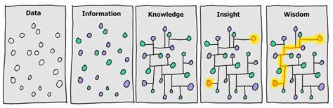What Is Data And How To Derive Insights And Value Davoy