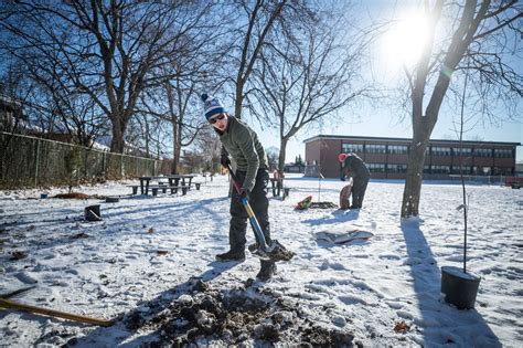 École Gentilly Ici On Verdit