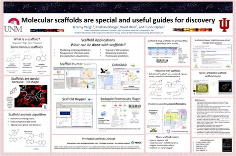 Molecular Scaffolds Poster Ppt