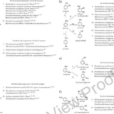 Possible Initial Steps In The Aerobic Biodegradation Of Benzene