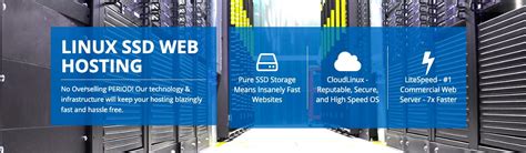 Accuweb Hosting Review Including Pros And Cons Mythemeshop