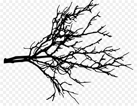 Free Transparent Tree Branch Download Free Transparent Tree Branch Png Images Free ClipArts On