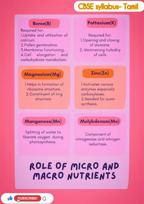 Role Of Micro And Macro Nutrients Mineral Nutrition Youtube