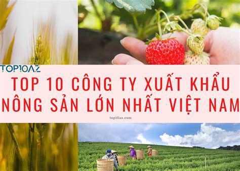 TOP công ty xuất khẩu nông sản lớn nhất Việt Nam