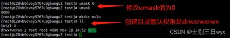 Linux Umask命令详解，linux修改文件默认访问权限 Csdn博客