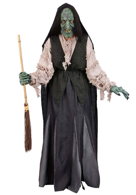 Adult Premium Evil Green Witch Costume Adult Witch Costumes