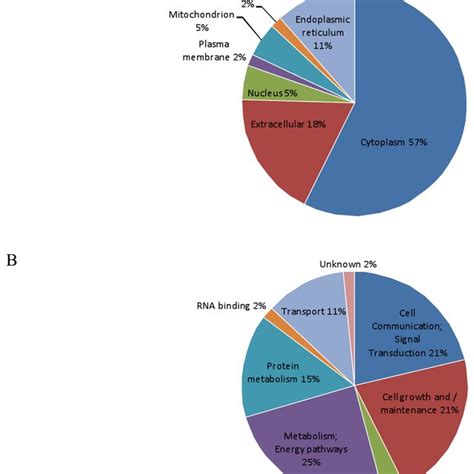 Cellular Location And Functional Categorization Of Identified Proteins