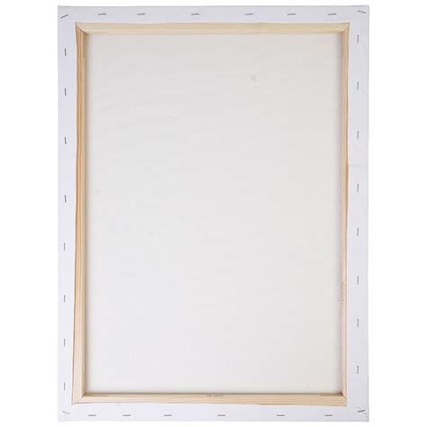 Born Thin Canvas 18 X 24 Officeworks
