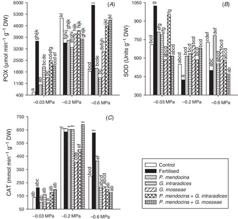 Effect Of Inoculation With Glomus Intraradices Glomus Mosseae And Download Scientific Diagram