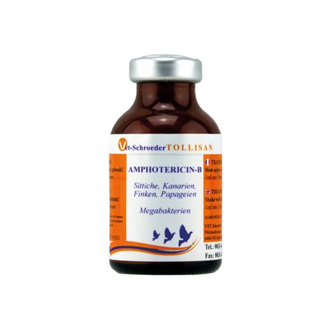 Amphotericin B Tollisan