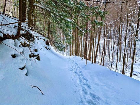 Tinker Falls Tully Ny Adventures In New York